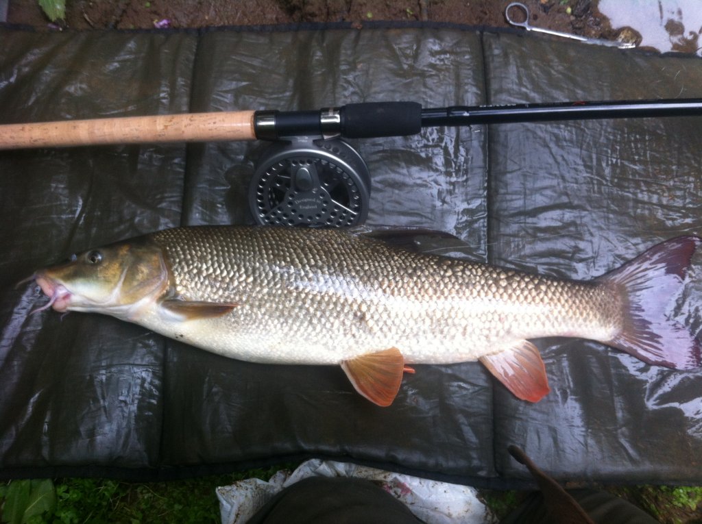 Centre-pinning - Wędkarstwo gruntowe i spławikowe - Podkarpacki Serwis ...