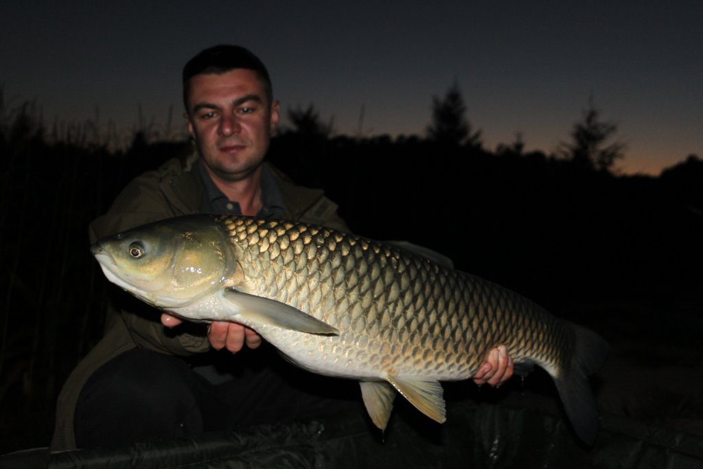 Złota Rybka - Łowiska komercyjne - Podkarpacki Serwis Wędkarski